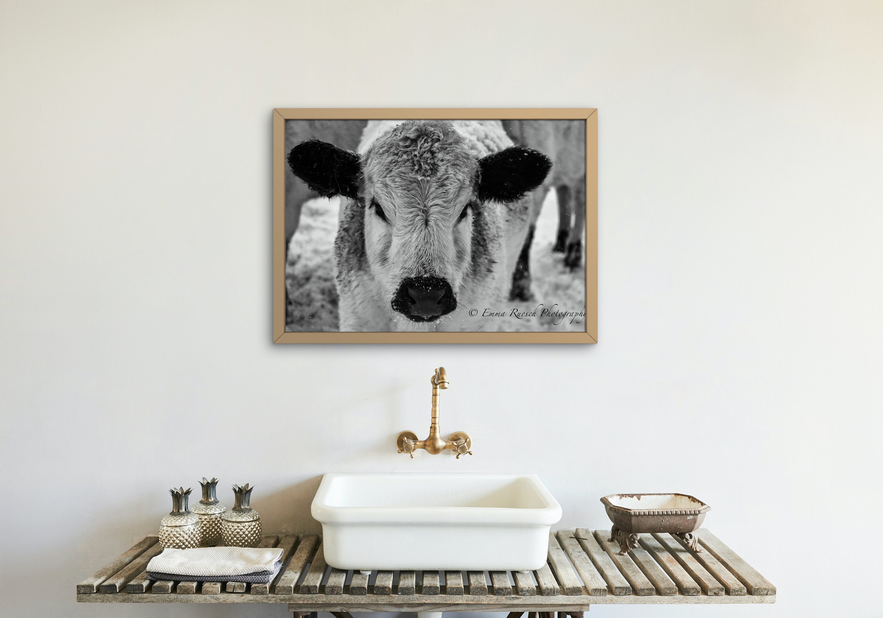 Printable Cow Photo, Winter, Landscape, Instant Digital Download, Print ...