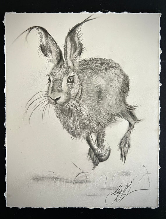 Running Hare Drawing