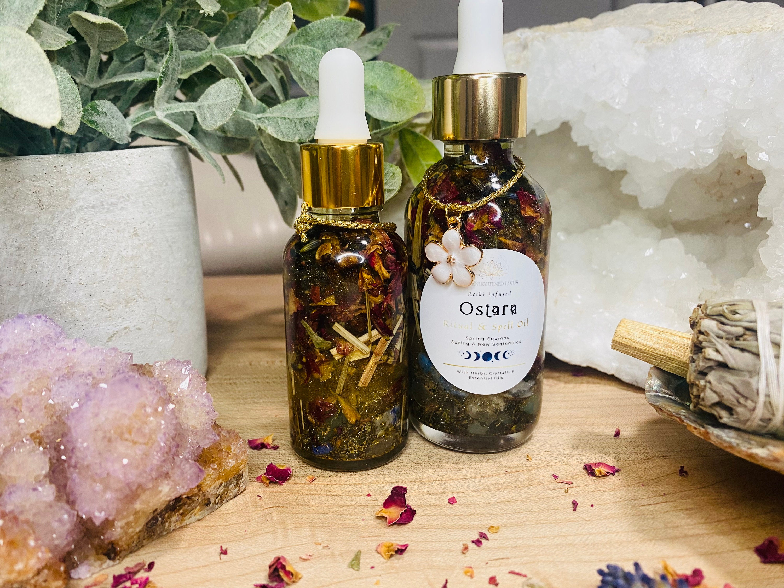 Ostara Anointing, Devotion, Ritual, and Spell Oil Spring Celebrating ...