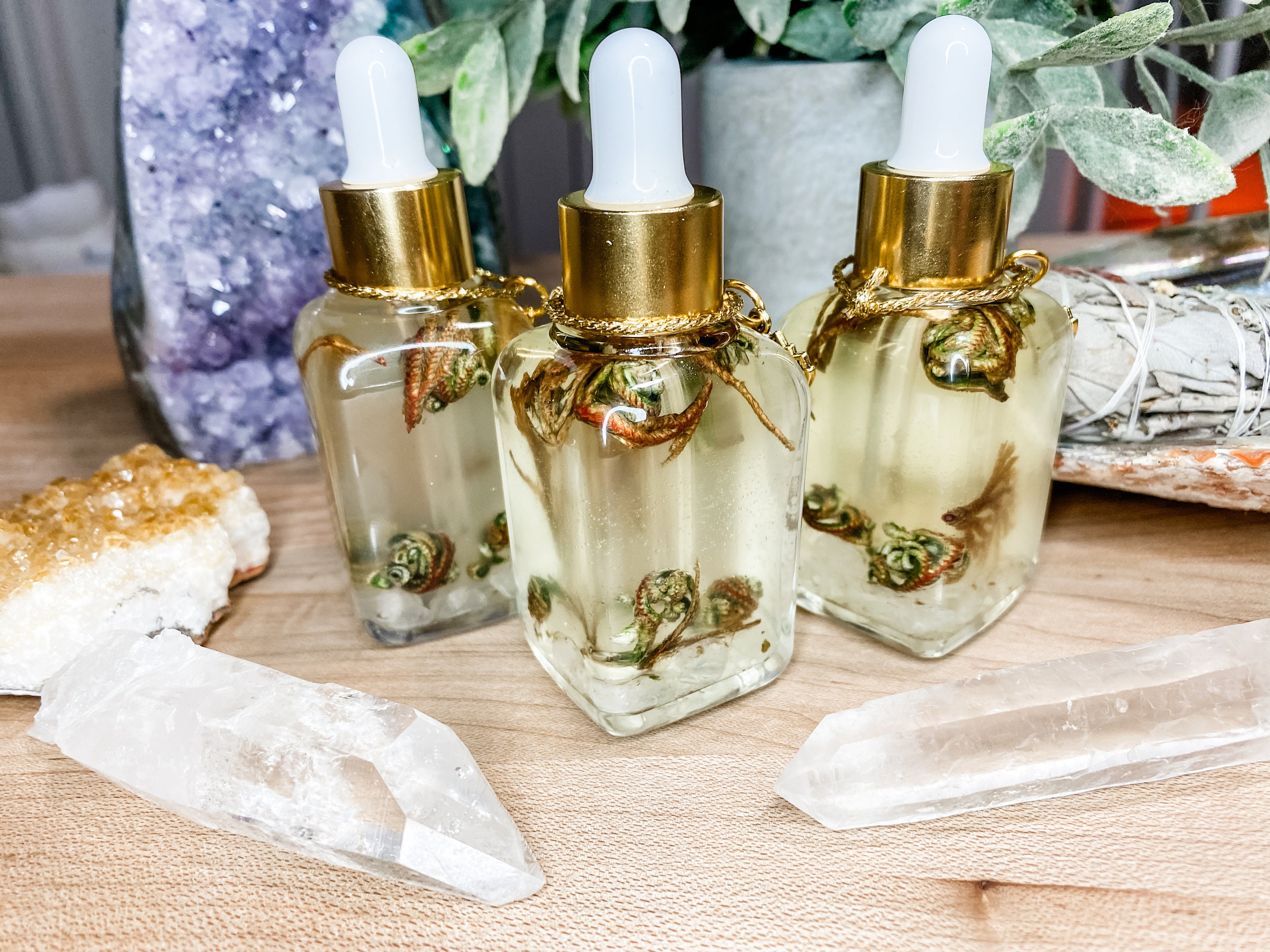 Rose of Jericho Oil Resurrection Plant Oil Prosperity, Abundance, and ...