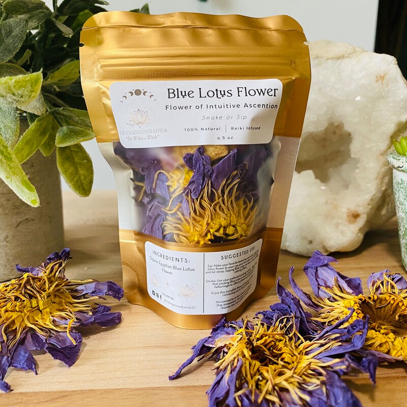 Blue Lotus Flower - Etsy