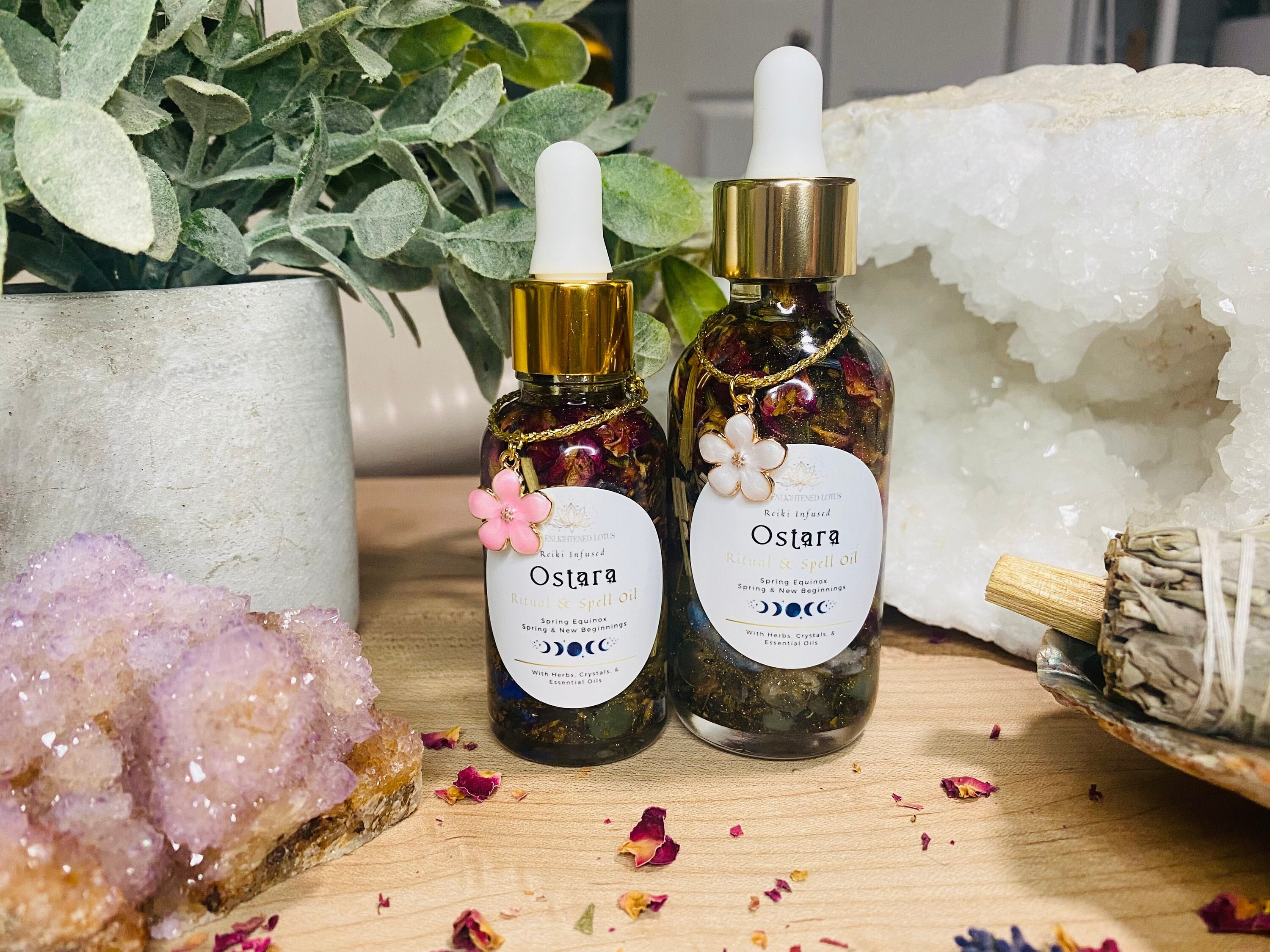 Ostara Anointing, Devotion, Ritual, and Spell Oil Spring Celebrating ...