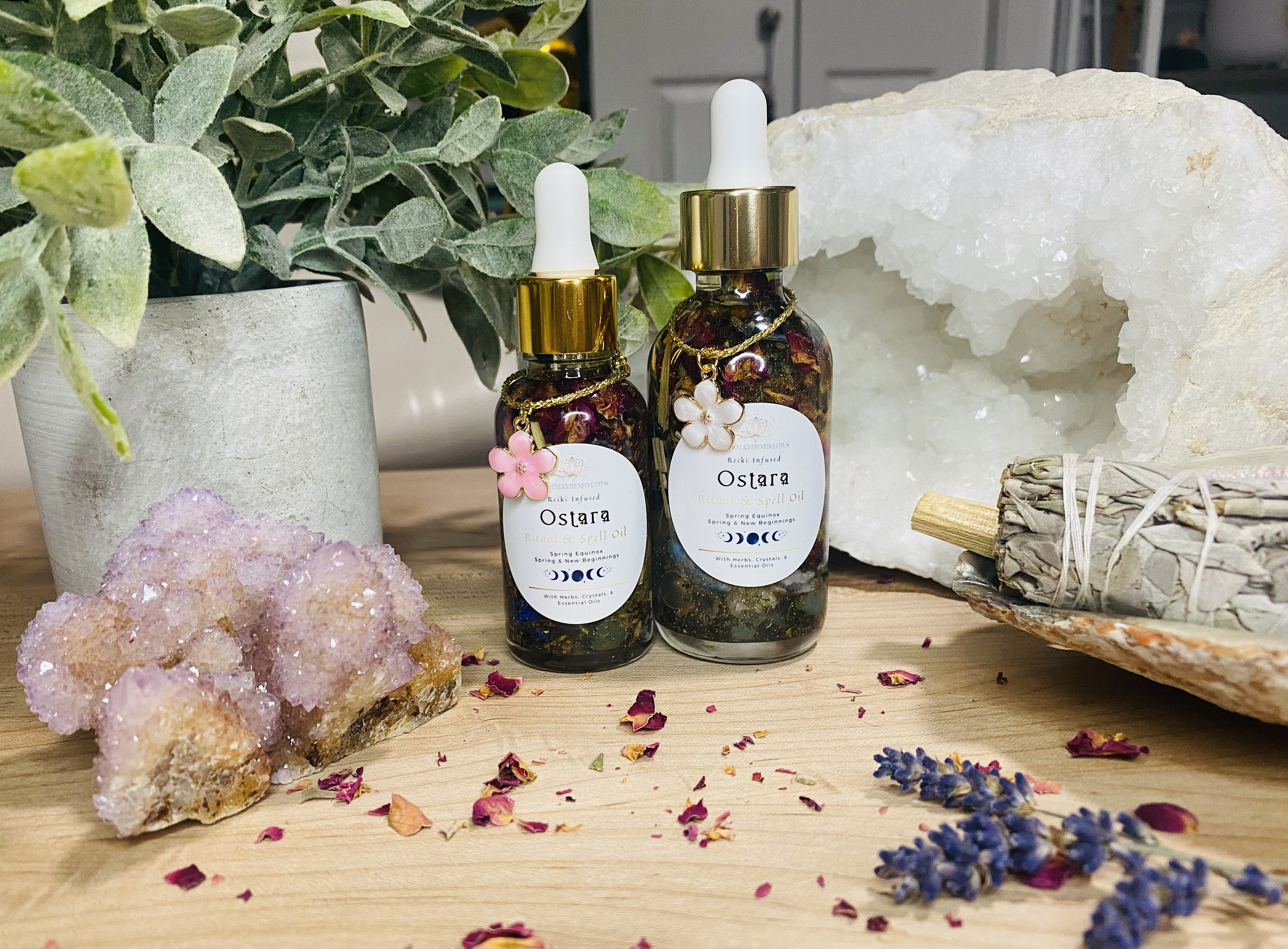 Ostara Anointing, Devotion, Ritual, and Spell Oil Spring Celebrating ...