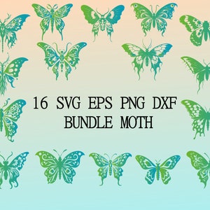 16 Moth SVG Bundle, Moths Clipart, Moth PNG, Moth Line Drawing, Cut ...