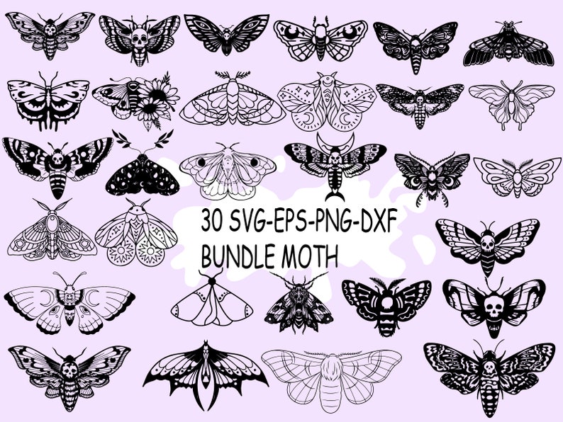 Moth SVG, Moths Clipart, Moth SVG Bundle, Moth Line Drawing, Cut File ...