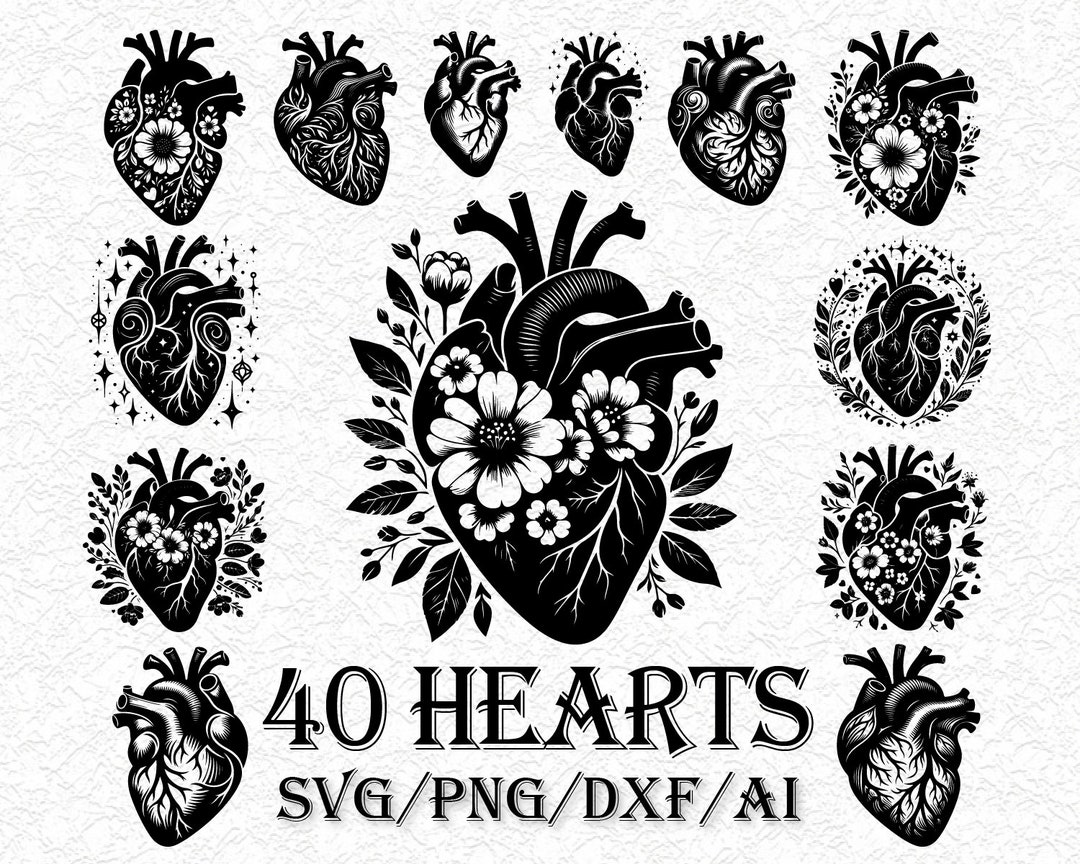 40 Floral Anatomical Heart SVG Bundle, Human Heart Clipart (cut Files ...