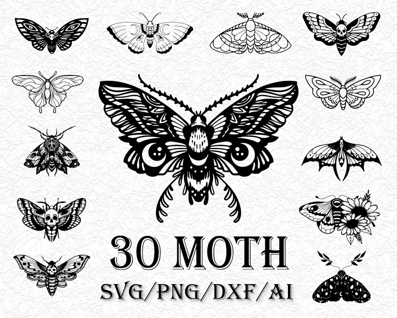 30 Moth SVG, Moths Clipart, Moth PNG, Moth SVG Bundle, Moth Line ...