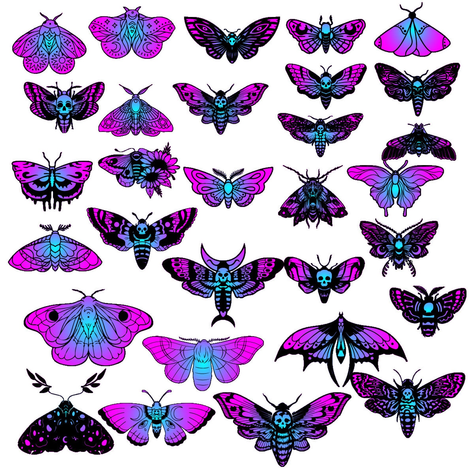 Moth SVG Moths Clipart Moth SVG Bundle Moth Line Drawing - Etsy