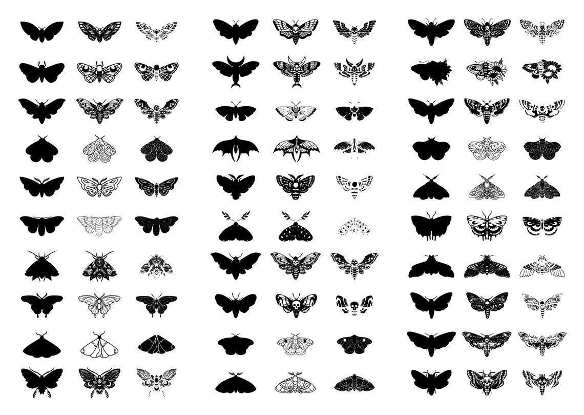 30 Moth SVG Bundle, Clipart, Line Drawing (cut Files) - Etsy