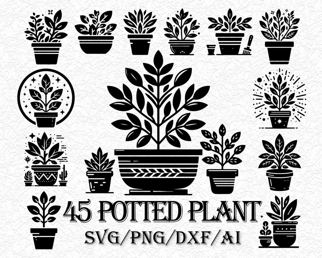 45 Plant Svg Bundle, Potted Plant SVG Bundle, Houseplant Svg, Plants in ...