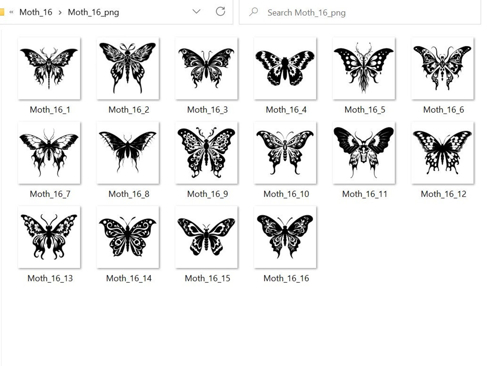 16 Moth SVG Bundle, Moths Clipart, Moth PNG, Moth Line Drawing, Cut ...