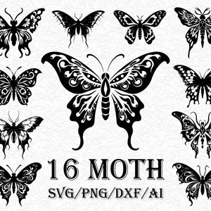 16 Moth SVG Bundle, Moths Clipart, Moth PNG, Moth Line Drawing, Cut ...