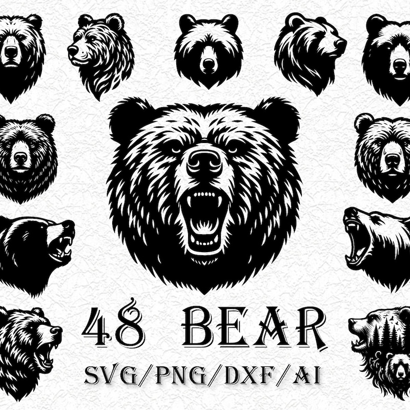 Bear Svg - Etsy