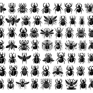 63 Scarab SVG, Scarab Clipart, Scarab SVG Bundle, Scarab Line Drawing ...