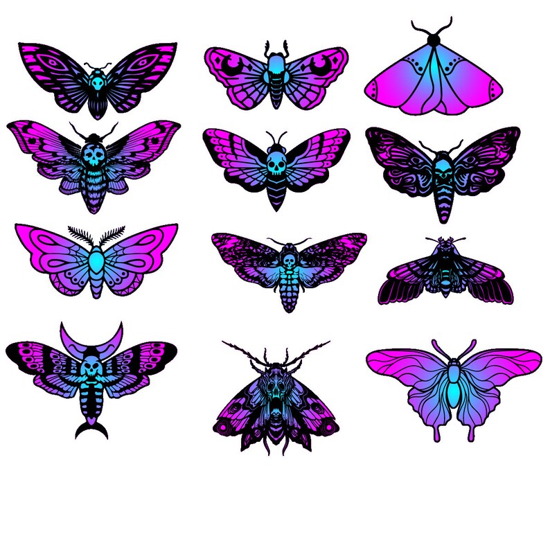 Moth SVG, Moths Clipart, Moth SVG Bundle, Moth Line Drawing, Cut File ...