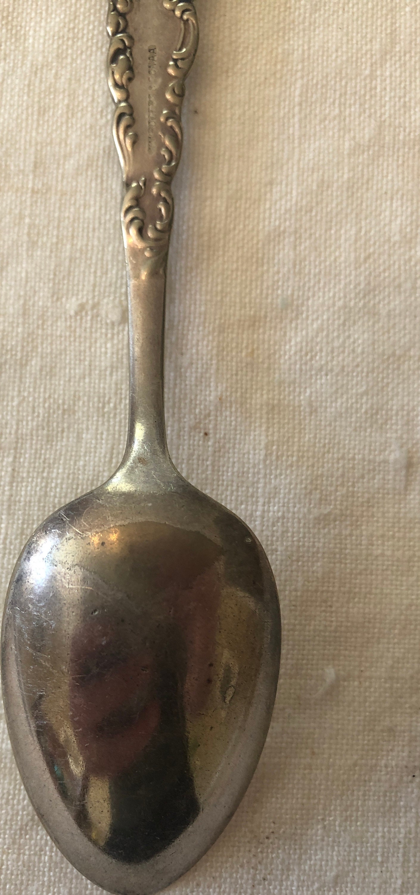 Silverplate Wm Rogers & Son AA Florida Pattern 6 Teaspoon Vintage - Etsy