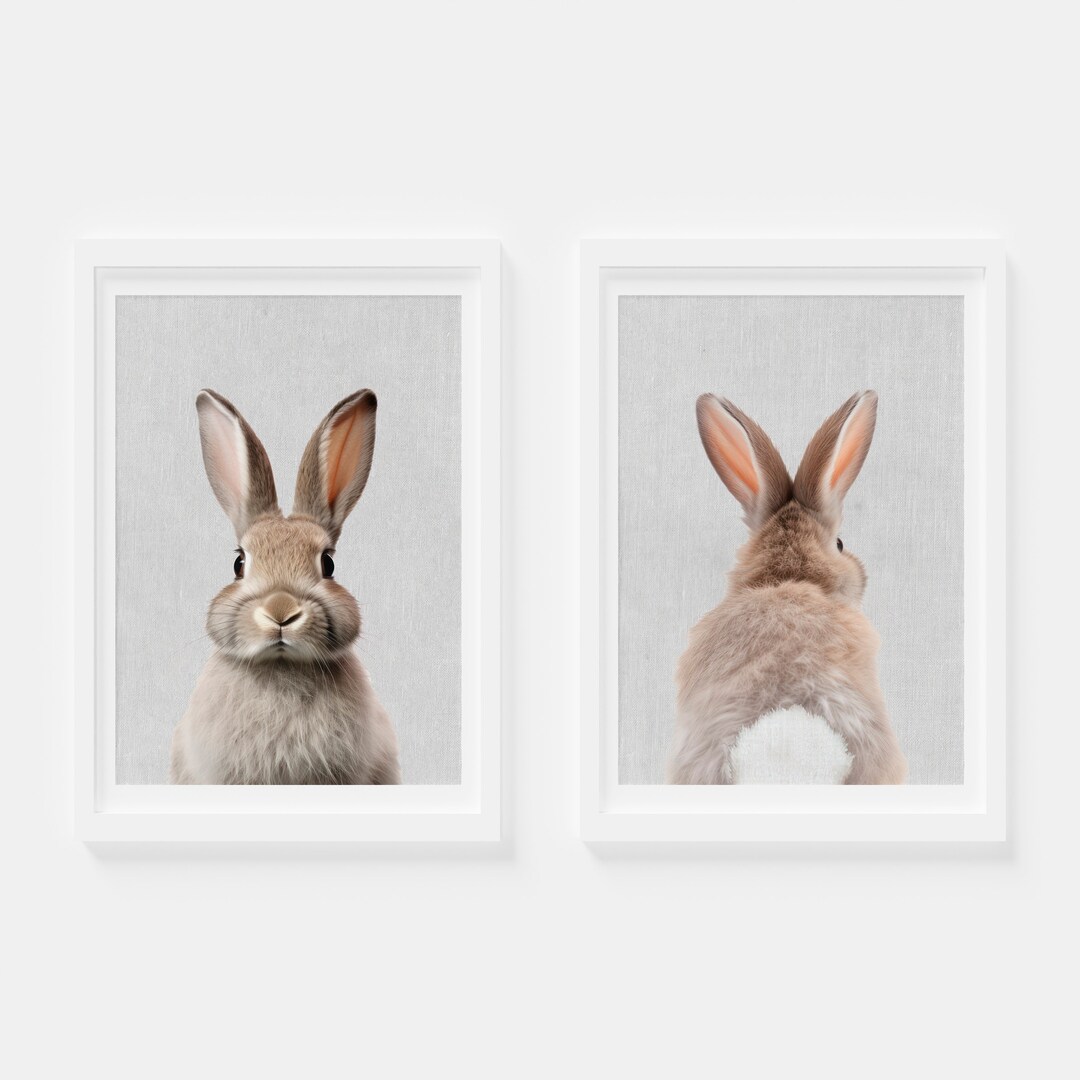 Bunny Print Set of 2, Bunny Wall Art Set, Bunny Nursery Poster, Bunny ...