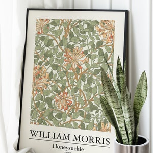 Set of 16 William Morris Prints: 16 Stunning Prints Inspired by the ...