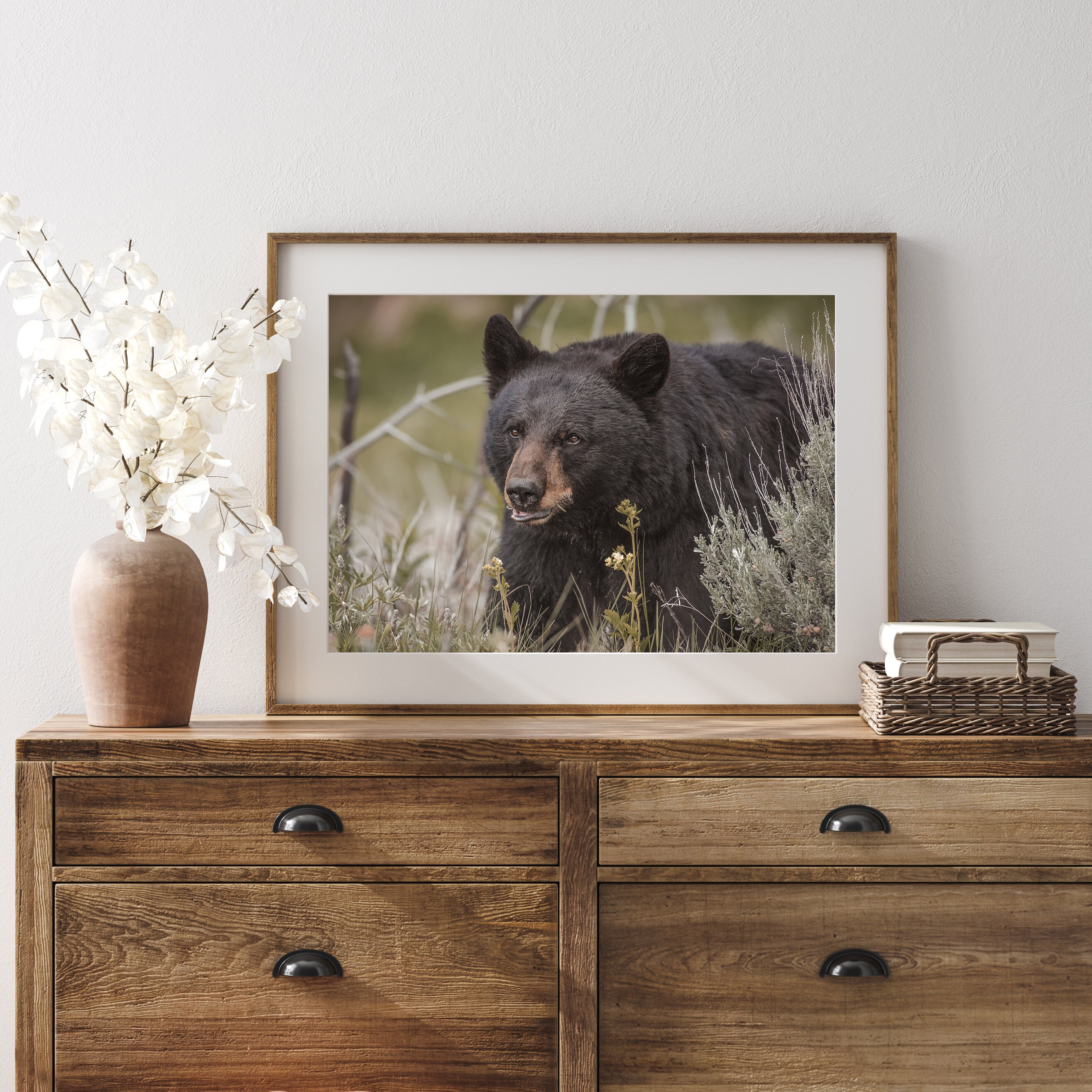 Black Bear Wall Art, Spring Bear Photo, Western Wildlife Poster, Bear ...