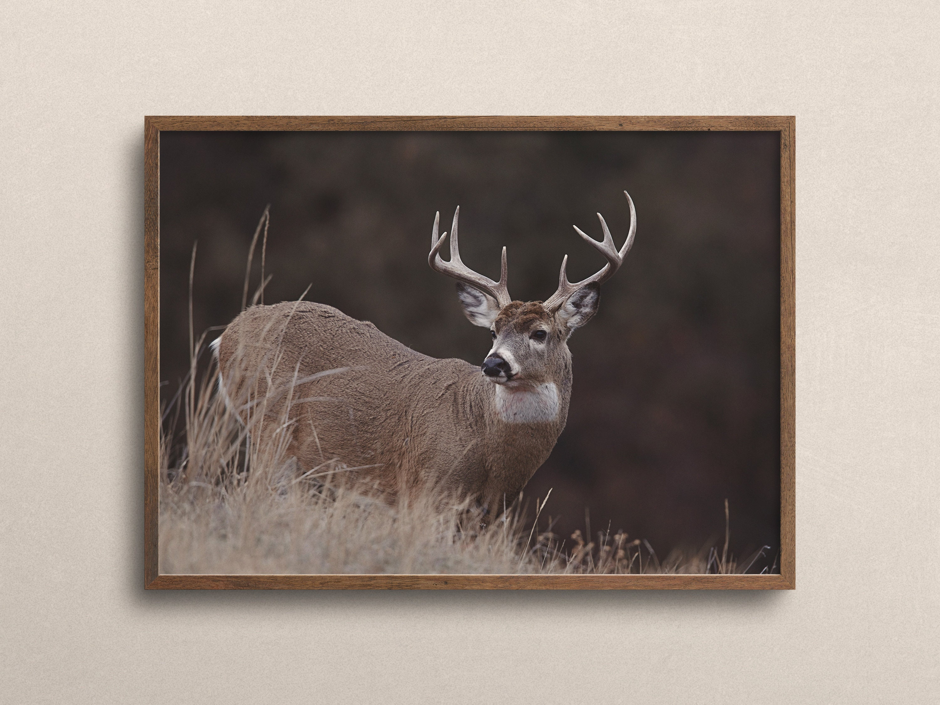 Rustic Deer Poster, Whitetail Deer Wall Art, Gift for Hunter, Midwest ...