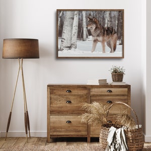 Timber Wolf Poster, Brown Wolf Digital Art, Woodland Wolf Printable ...