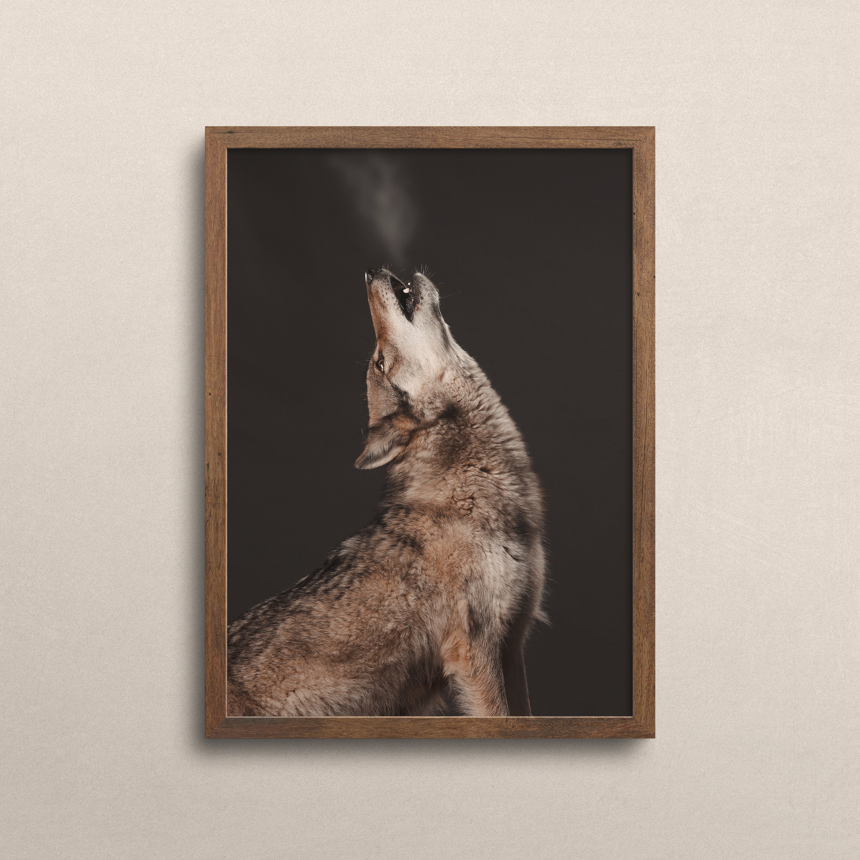 Howling Coyote Wall Art Nature Photography Wildlife Poster - Etsy