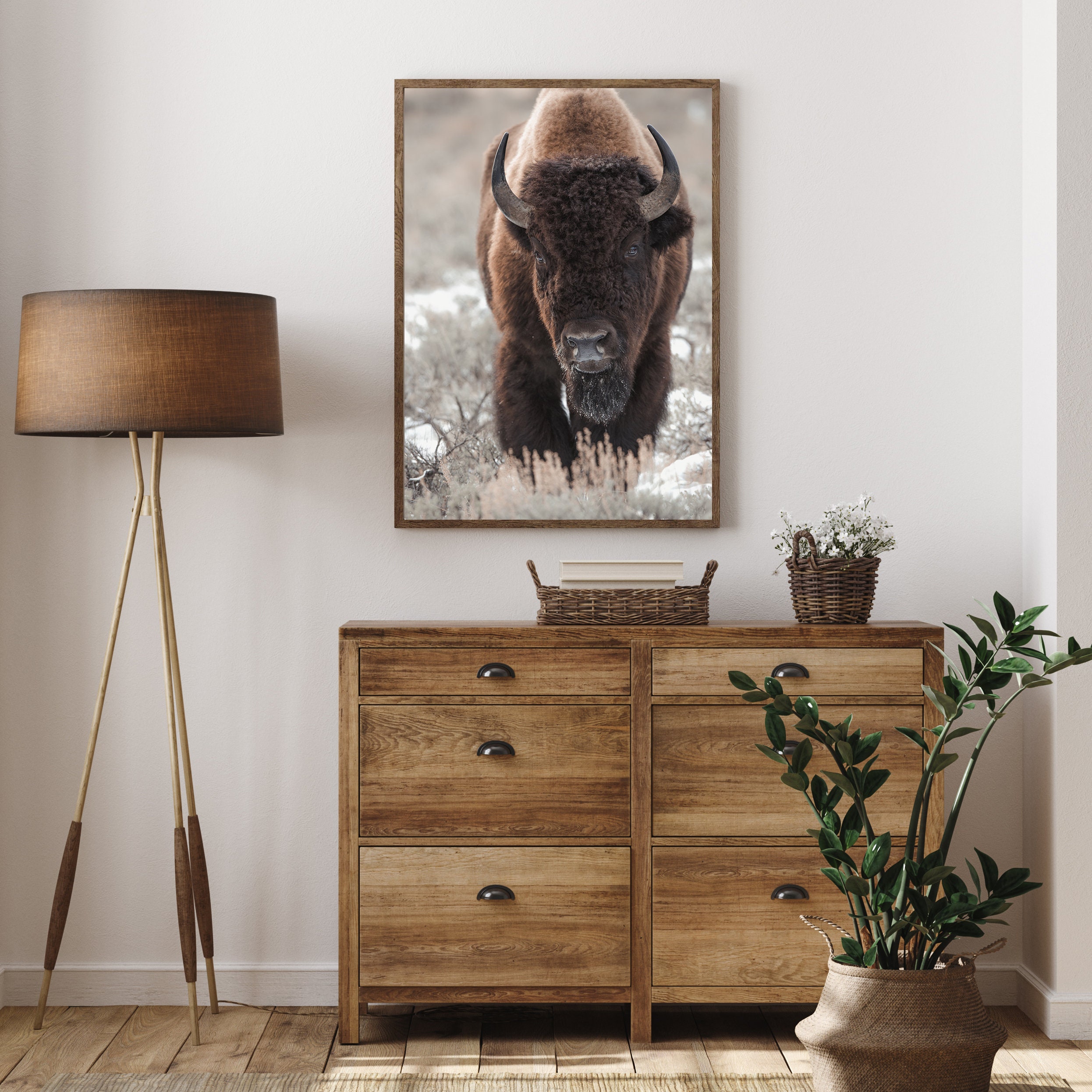 Western Bison Wall Art, Rustic Photography, Wildlife Print, Wyoming ...