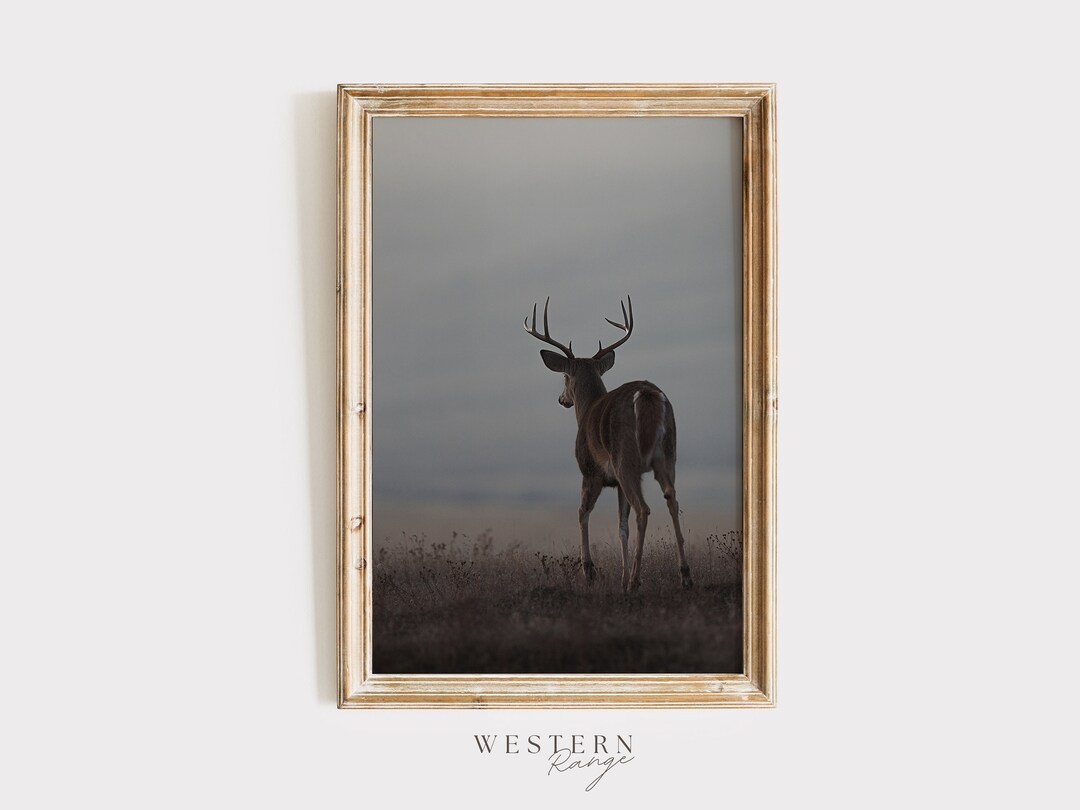 Deer at Dusk, Whitetail Deer in Foggy Field, Midwest Whitetail Poster ...