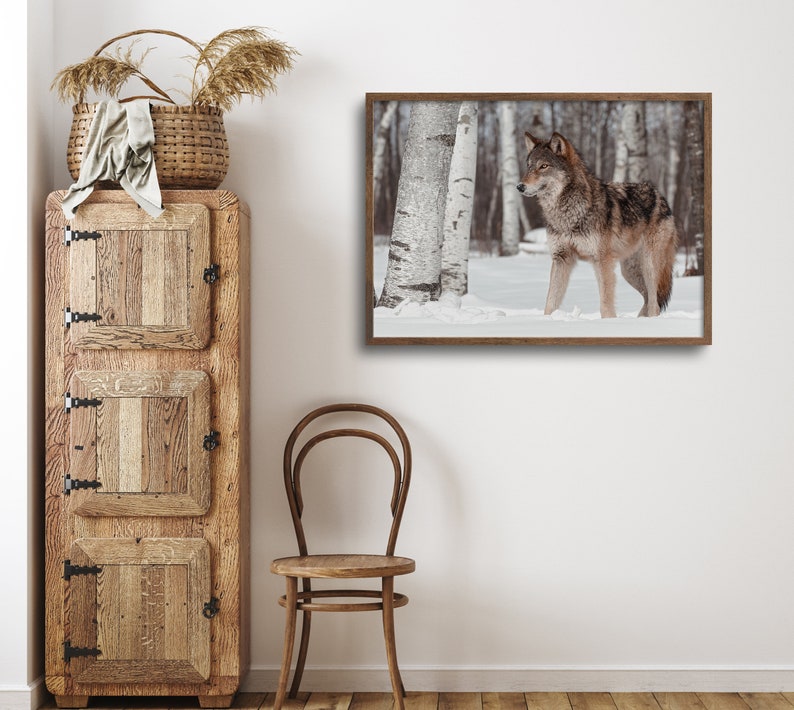 Timber Wolf Poster Brown Wolf Digital Art Woodland Wolf - Etsy