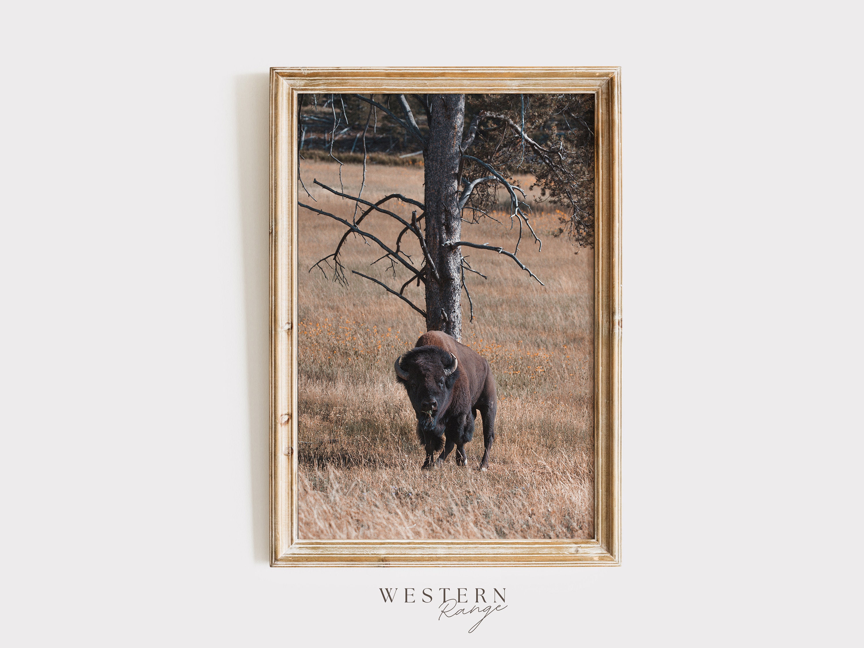 Western Buffalo Print, Rustikales Dekor, American Buffalo Wandkunst ...