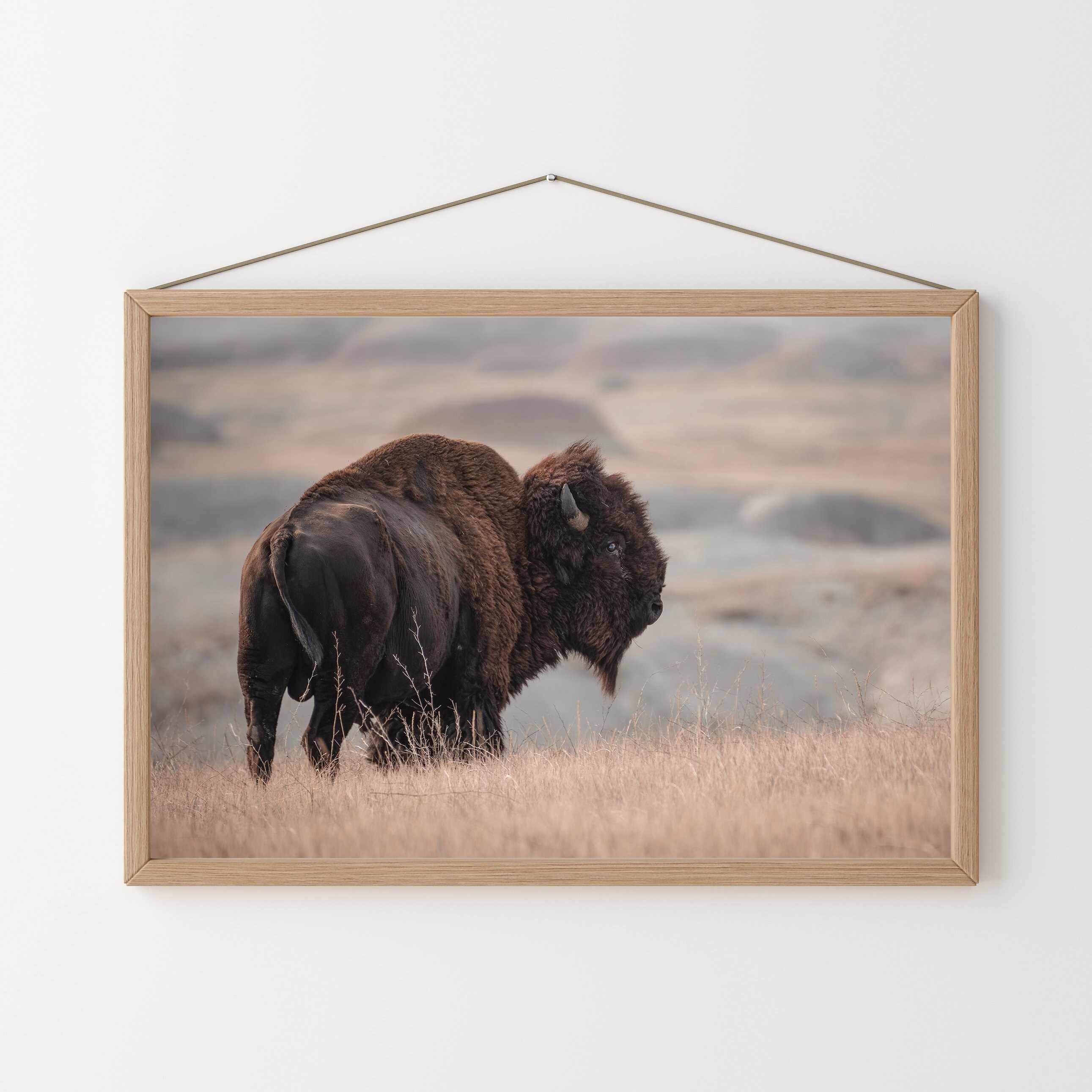 Open Range Bison Scenery, Western Landscape, Wildlife Nature Print ...
