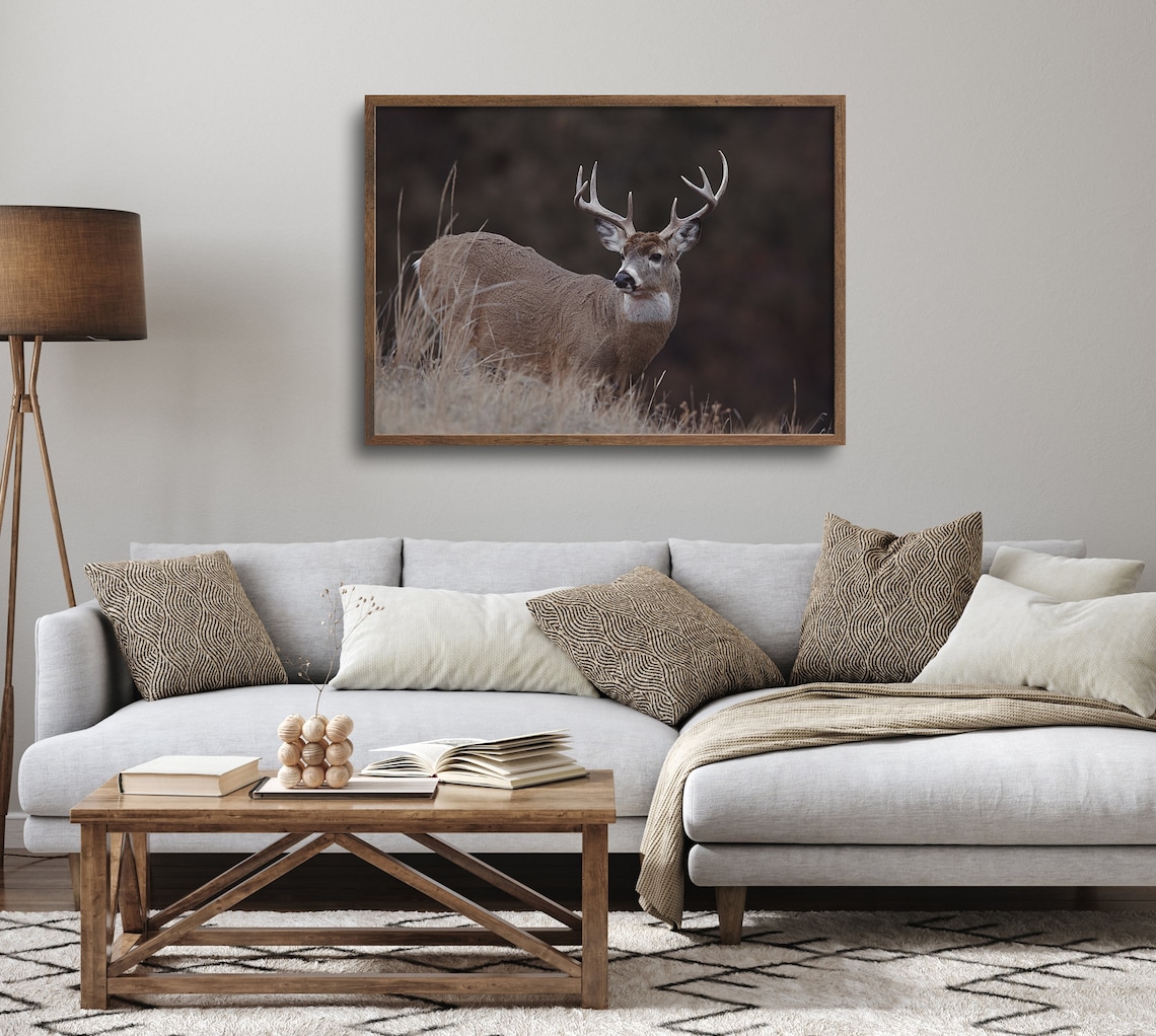 Rustic Deer Poster, Whitetail Deer Wall Art, Gift for Hunter, Midwest ...