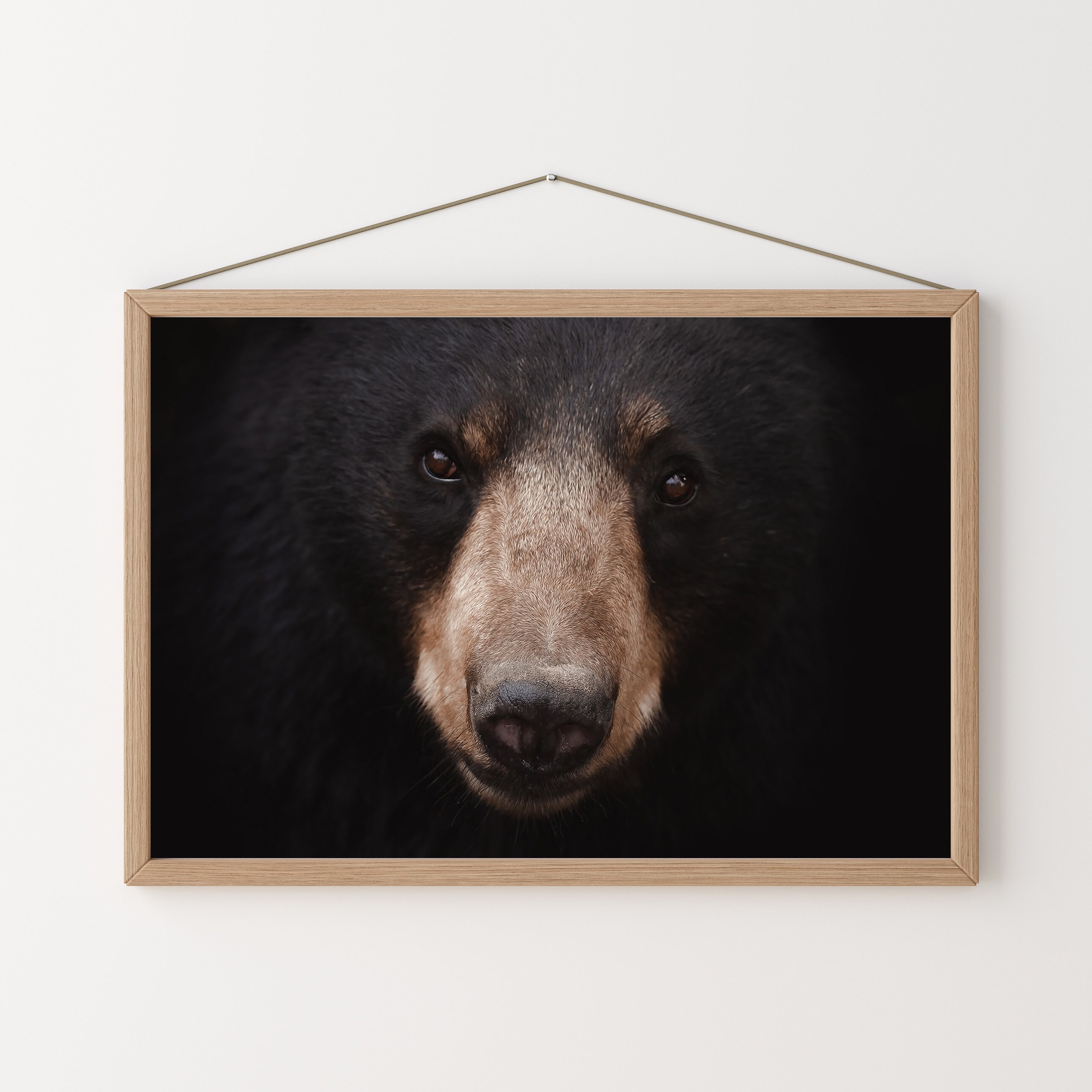 Black Bear Poster, Wildlife Wall Art, Black Bear Close Up, Rustic Home ...