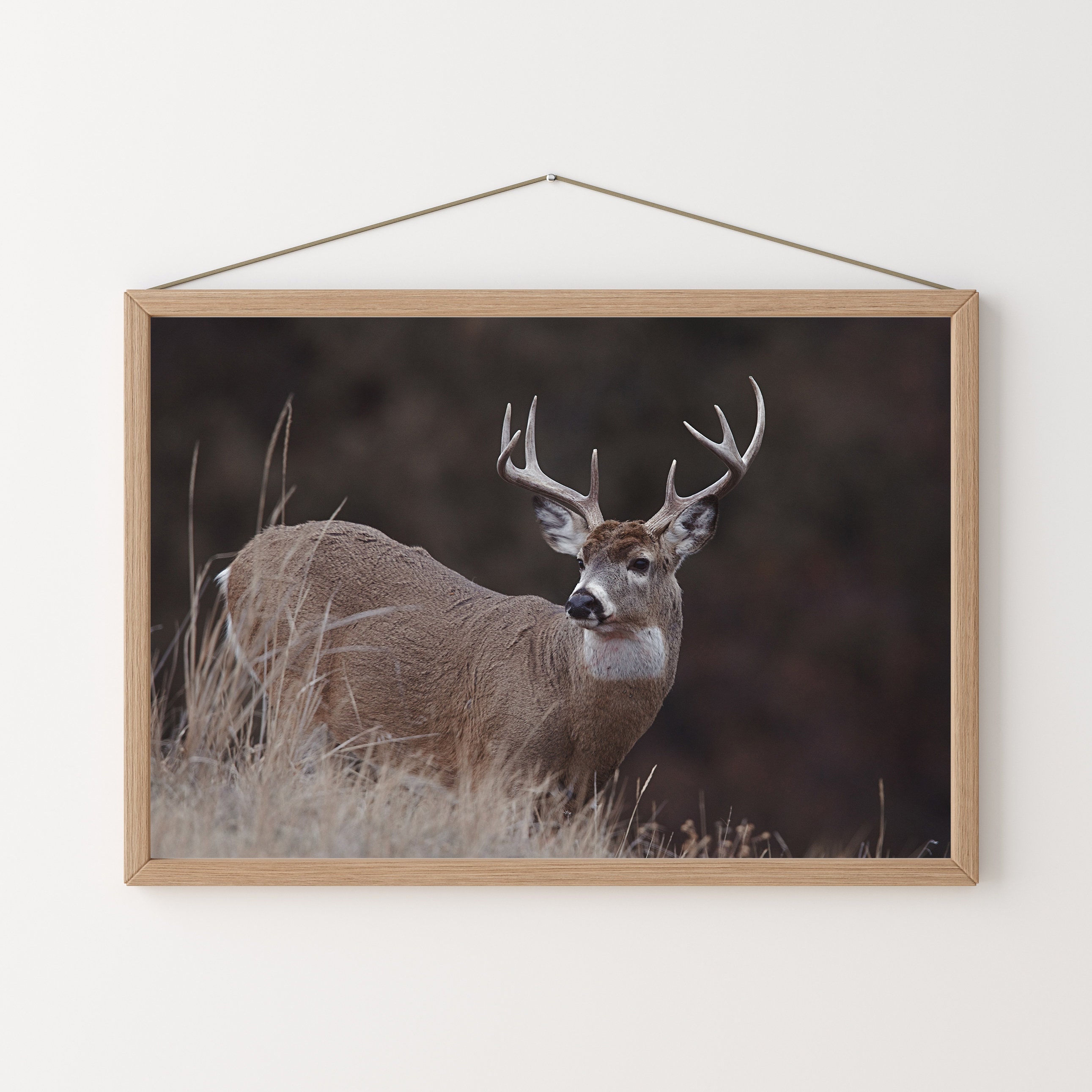 Rustic Deer Poster, Whitetail Deer Wall Art, Gift for Hunter, Midwest ...