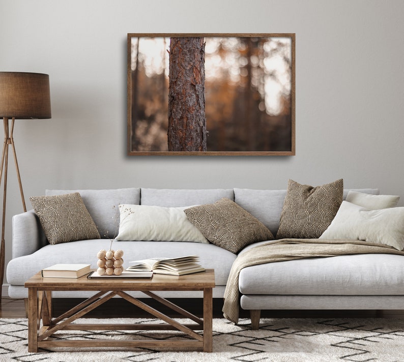 Tree Bark Poster, Ponderosa Pine Tree, Arizona Pine Forest, Pine Tree ...