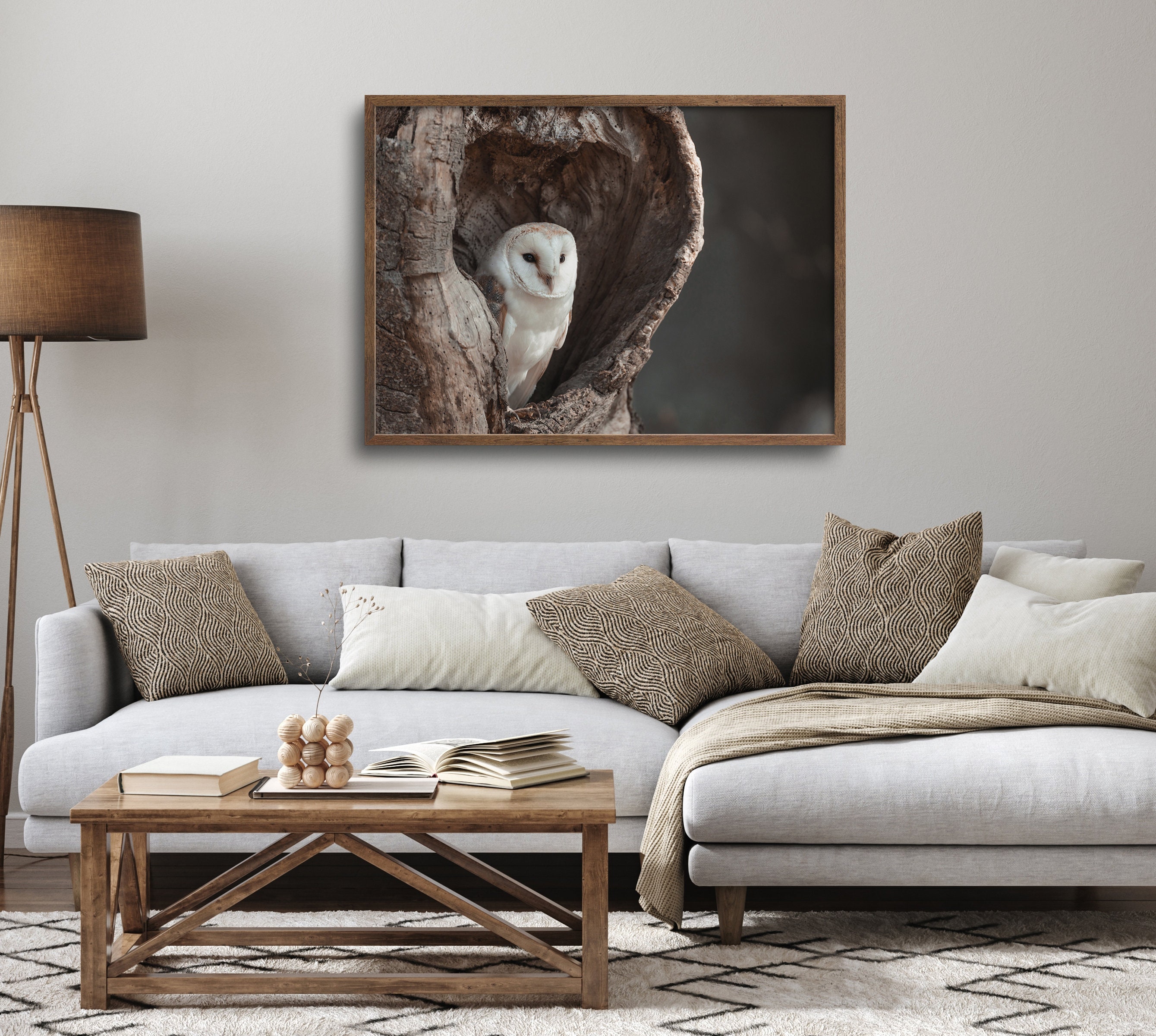 Barn Owl in Tree, Wildlife Photography, Barn Owl Poster, Rustic Bedroom ...