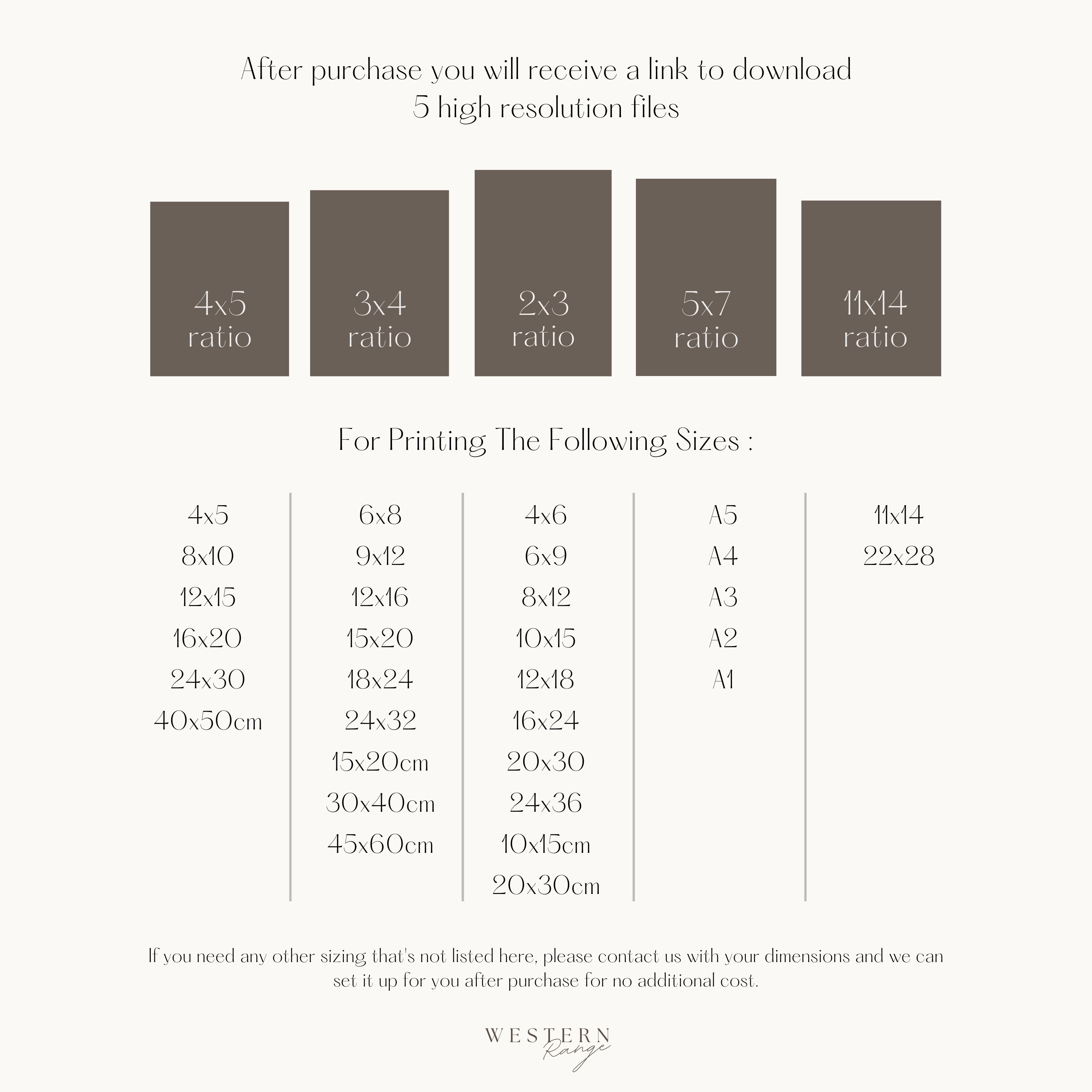 American Antelope Wall Art, Rainy Day, Wildlife Photography, Western ...