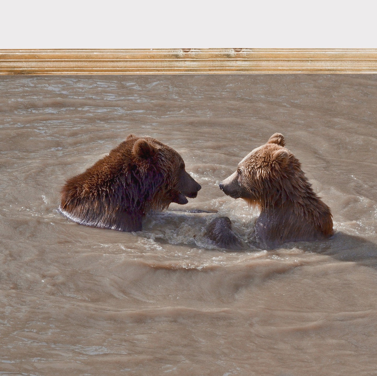 Grizzly Bears Swimming, Bears in Lake, Alaskan Grizzly Bear Poster ...