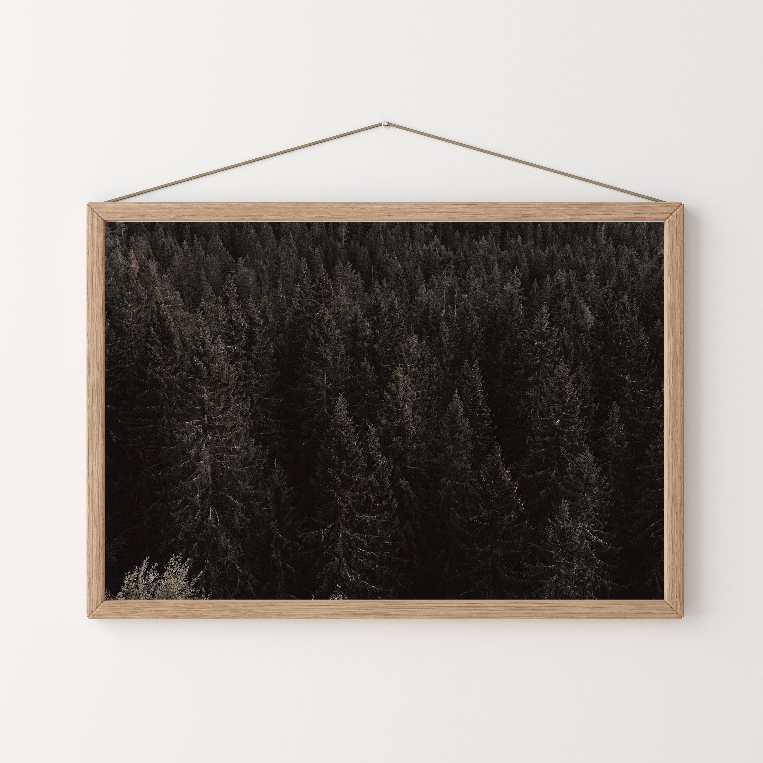 Moody Forest Poster, Evergreen Trees, Modern Cabin Decor, Western ...