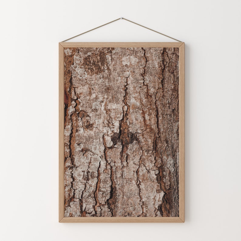 Tree Bark Photo, Natural Texture, Tree Photography, Tree Bark Printable ...