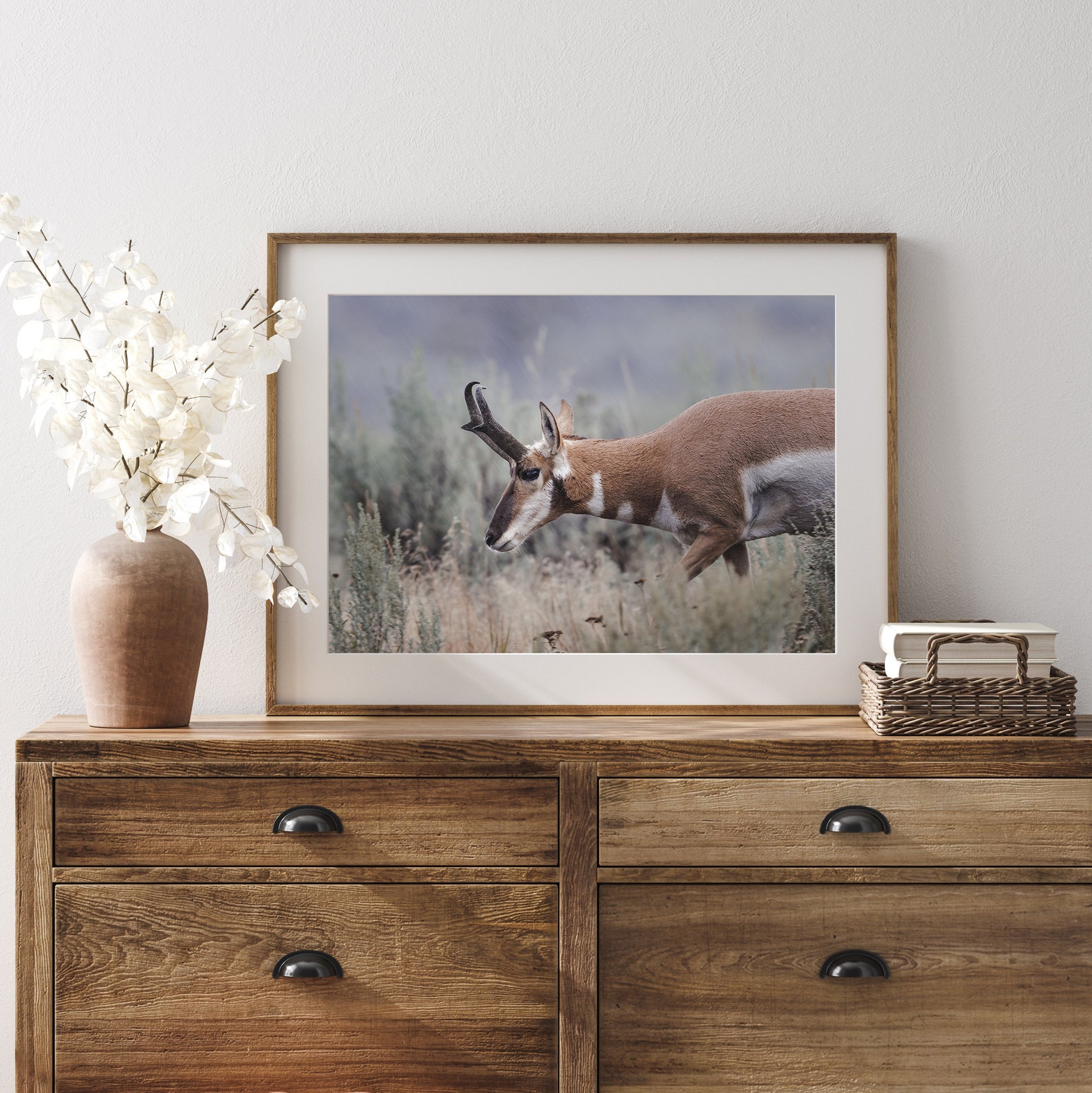 American Antelope Wall Art, Rainy Day, Wildlife Photography, Western ...