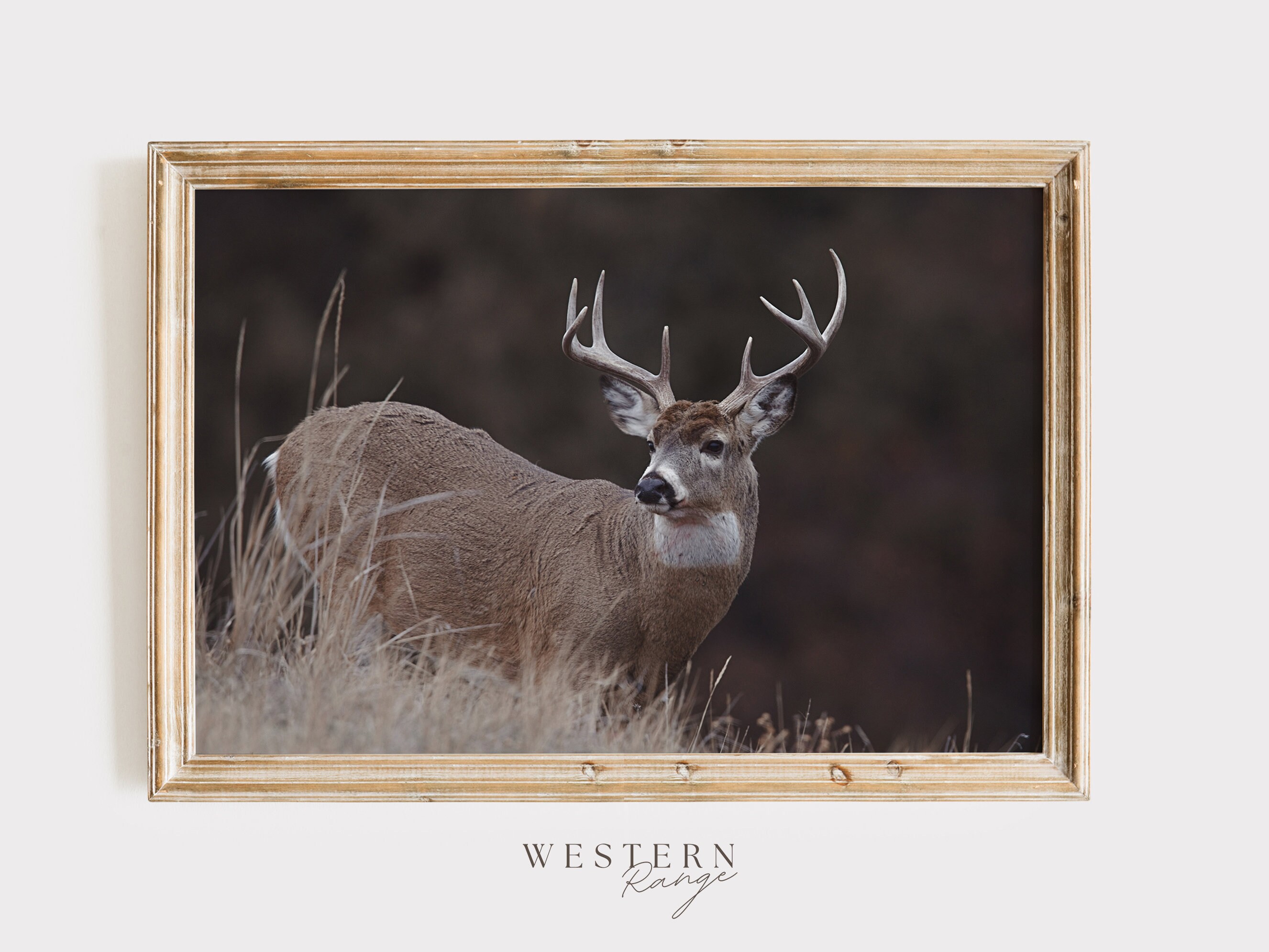 Rustic Deer Poster, Whitetail Deer Wall Art, Gift for Hunter, Midwest ...