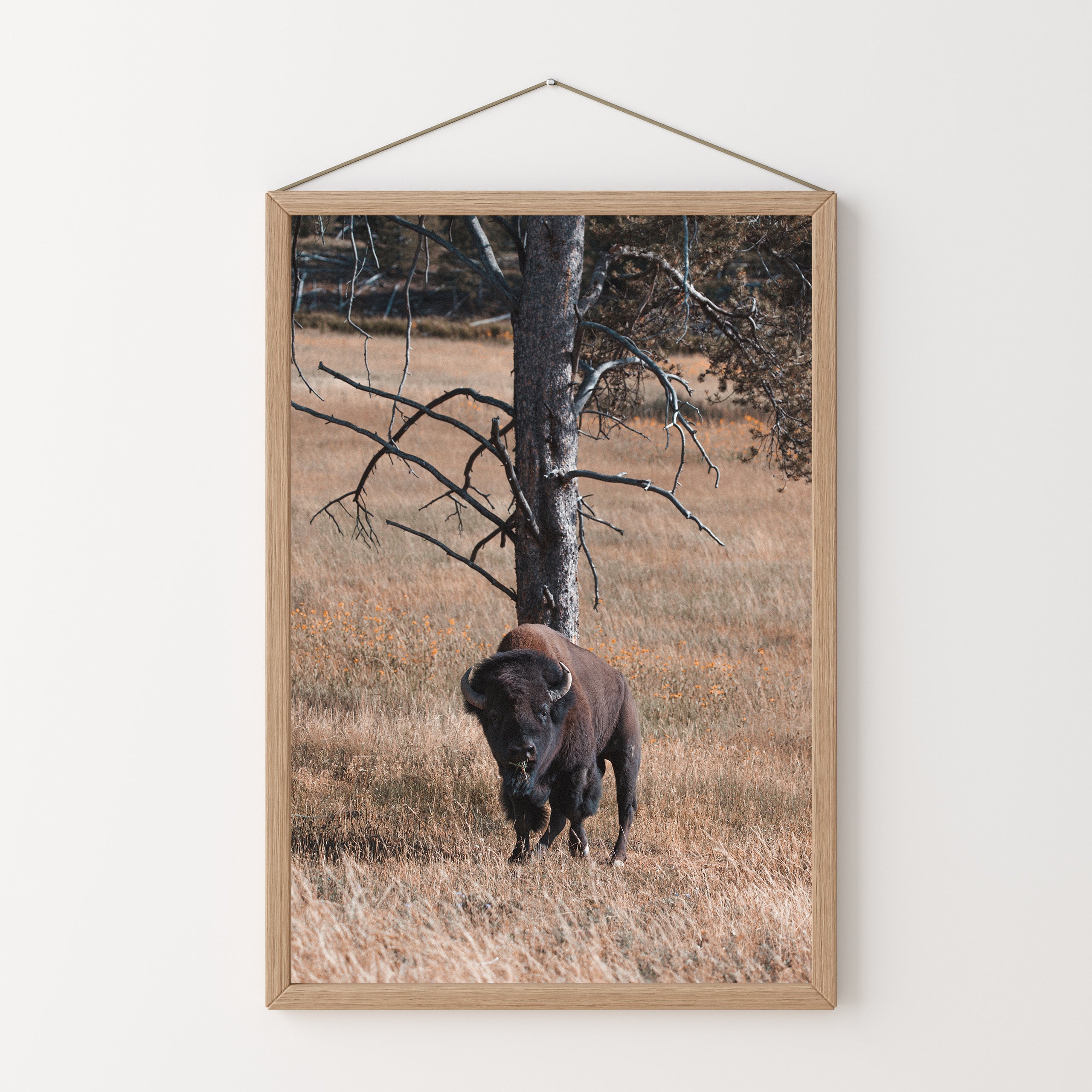 Western Buffalo Print, Rustikales Dekor, American Buffalo Wandkunst ...