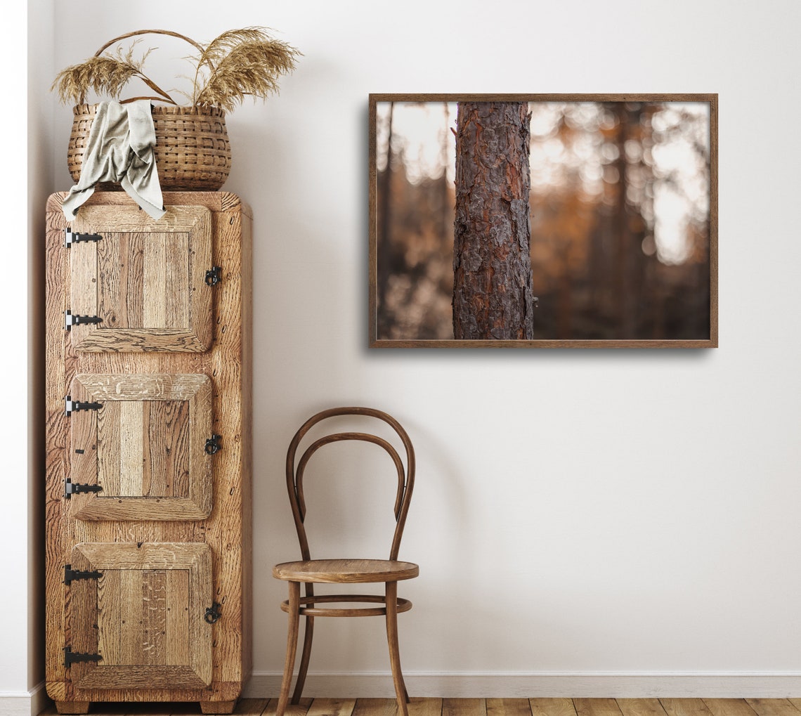 Tree Bark Poster, Ponderosa Pine Tree, Arizona Pine Forest, Pine Tree ...