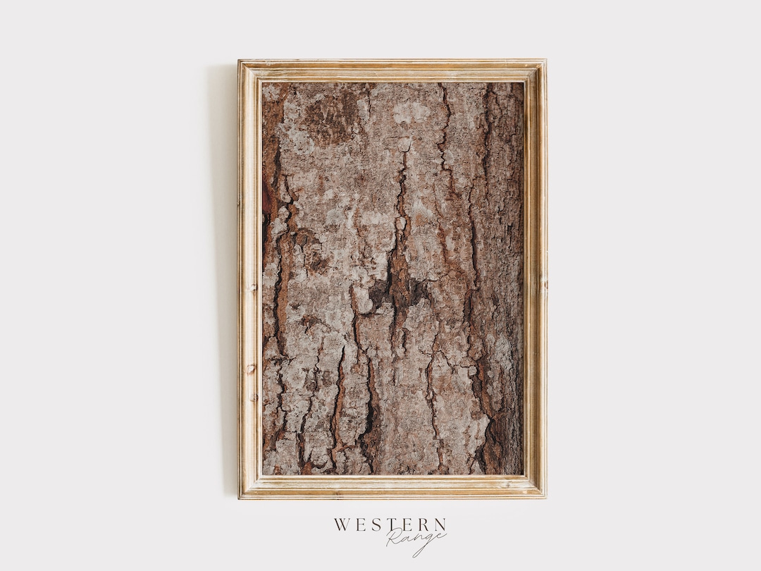 Tree Bark Photo, Natural Texture, Tree Photography, Tree Bark Printable ...