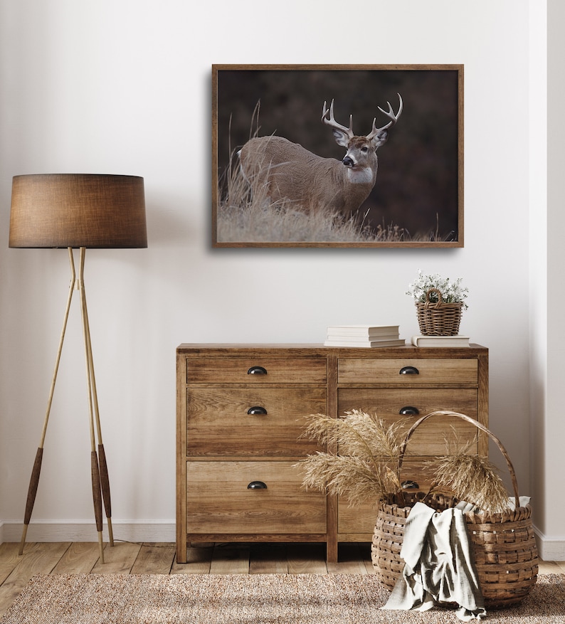 Rustic Deer Poster, Whitetail Deer Wall Art, Gift for Hunter, Midwest ...