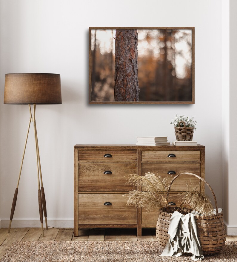 Tree Bark Poster, Ponderosa Pine Tree, Arizona Pine Forest, Pine Tree ...