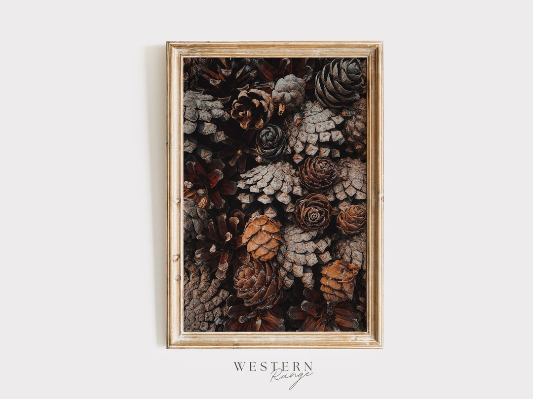 Pine Cone Poster, Rustic Home Decor, Nature Print, Pine Cone on Forest ...