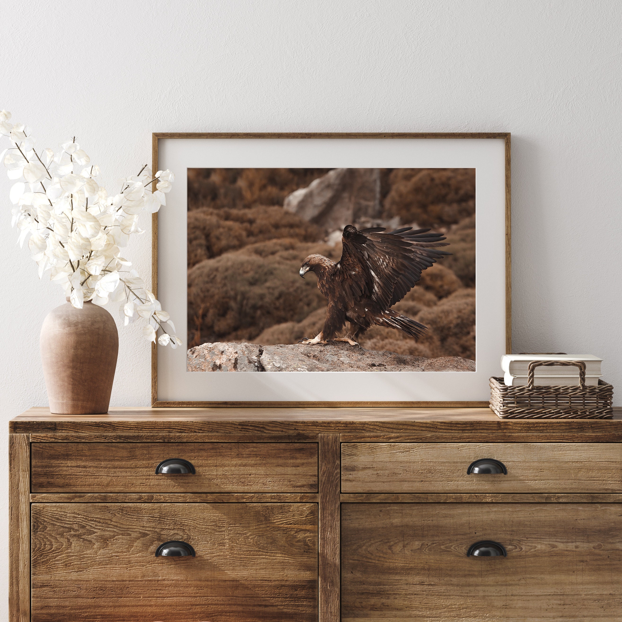 Golden Eagle Wall Art, Rustic Eagle Photo, Colorado Wildlife, Golden ...