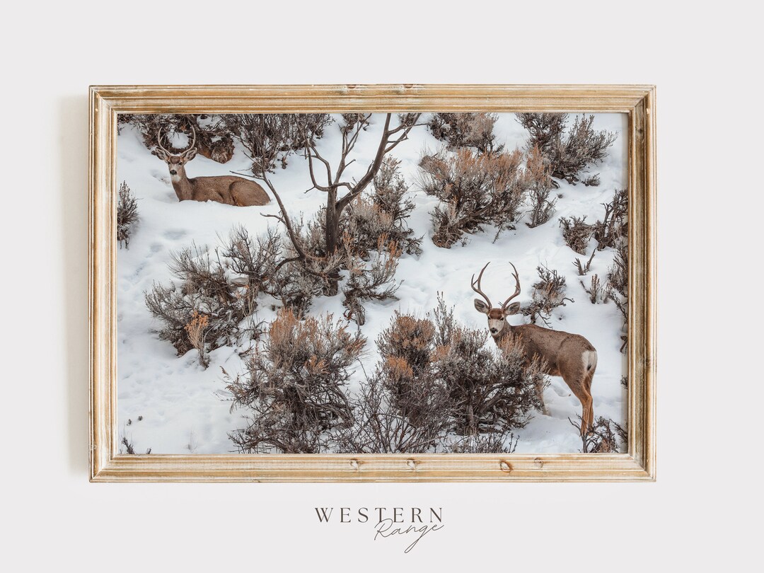 Mule Deer in Sagebrush, Winter Mule Deer Poster, Rustic Wildlife Home ...
